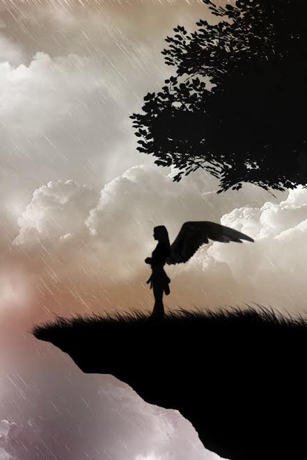 Angel Channel 8888's Profile - Avid Advice